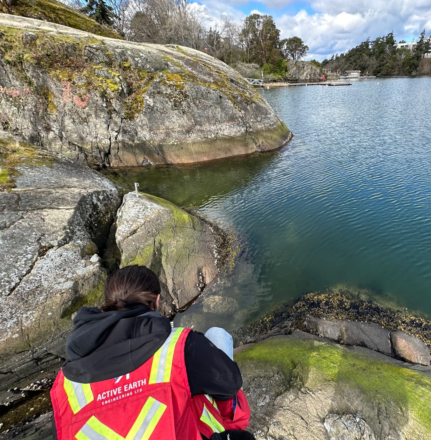 Active Earth - Your Environment, Our Expertise | Environmental Consulting : Active Earth Engineering